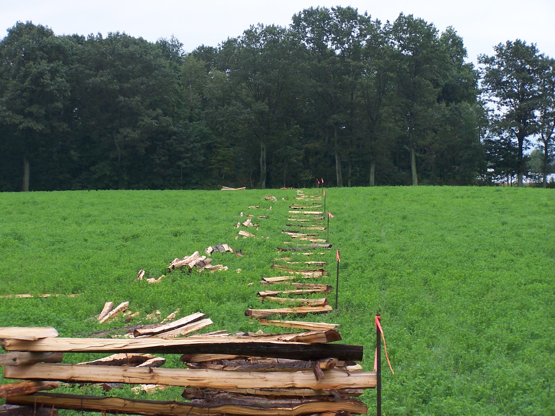 Snake Zig Zag Cedar Split Rail Fences | Cedarsplitrails