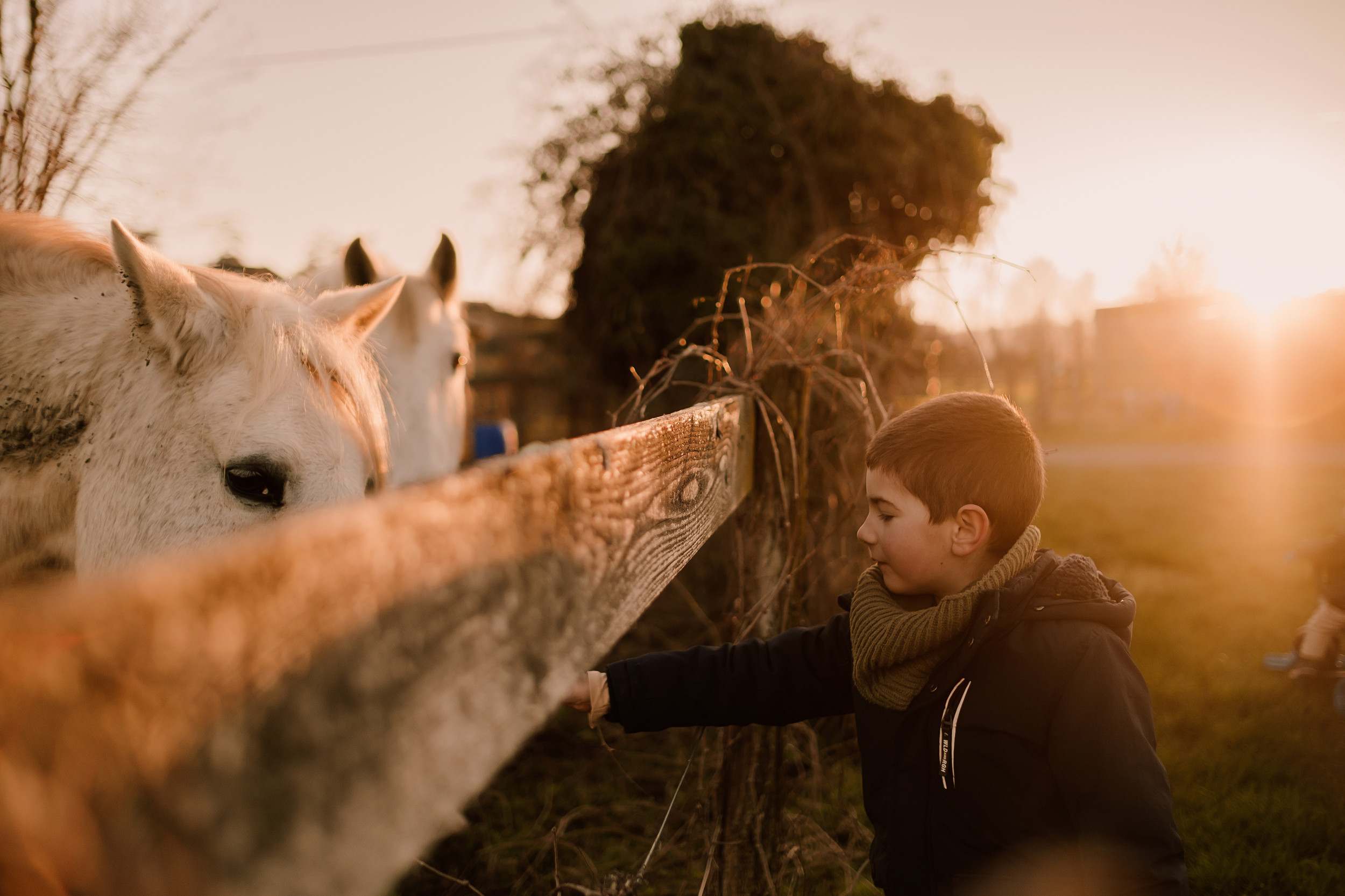 Laura giraud photographe