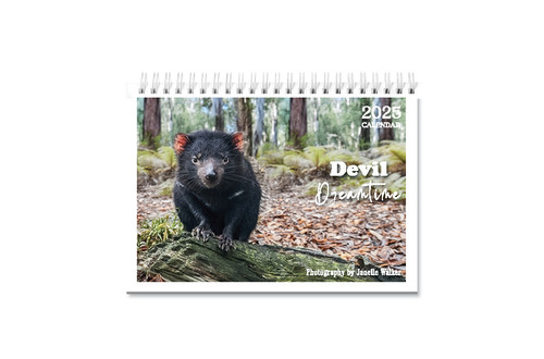 2025 Calendar - Devil Dreamtime | Pixel Purrrfect
