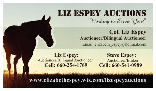 Liz Espey Auctions