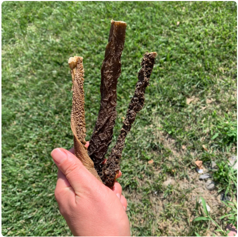 Dehydrated Lamb Tripe Strips - 3 oz | UnifourNatrlPetFoods