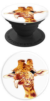 Pet snails for sale: giant african land snail, brown garden snail etc