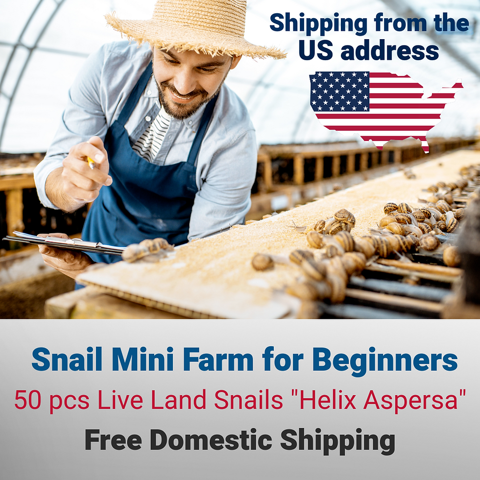 Snail Farming for Beginners Starter Kit - 50 pcs Helix Aspersa Live ...
