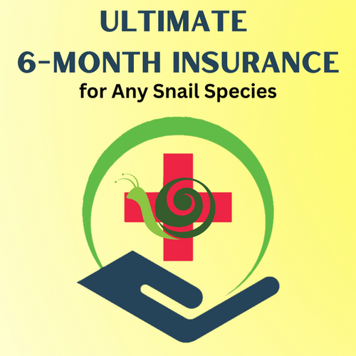 Pet Snail Health Insurance – 6-Month Coverage Plan | My Happy Snails