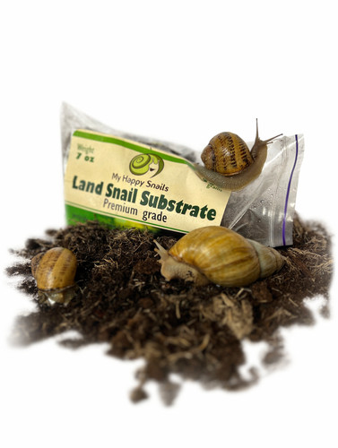 Premium Land Snail Substrate - The Perfect Bedding for Your Pet Snail ...
