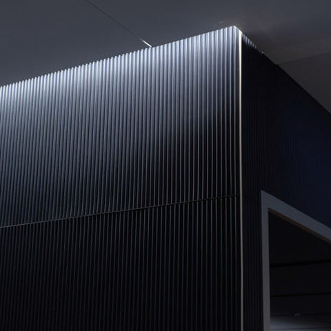 Detailing - BUXKIN Group Bv