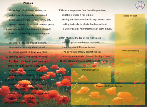 Poppies A4 Poster | Mr L’s English