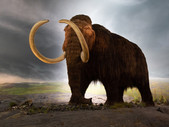 The 6 Stone Age Animals KS2 Students Need to Know