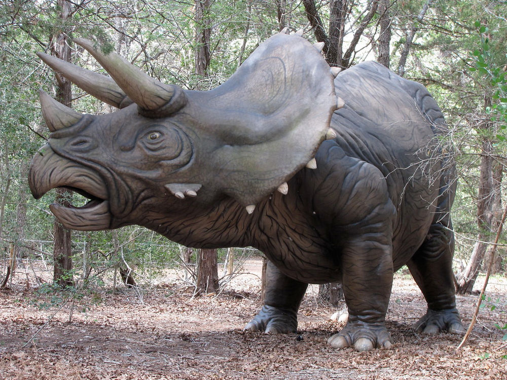 Tell me about: Triceratops - Fun Facts for Kids