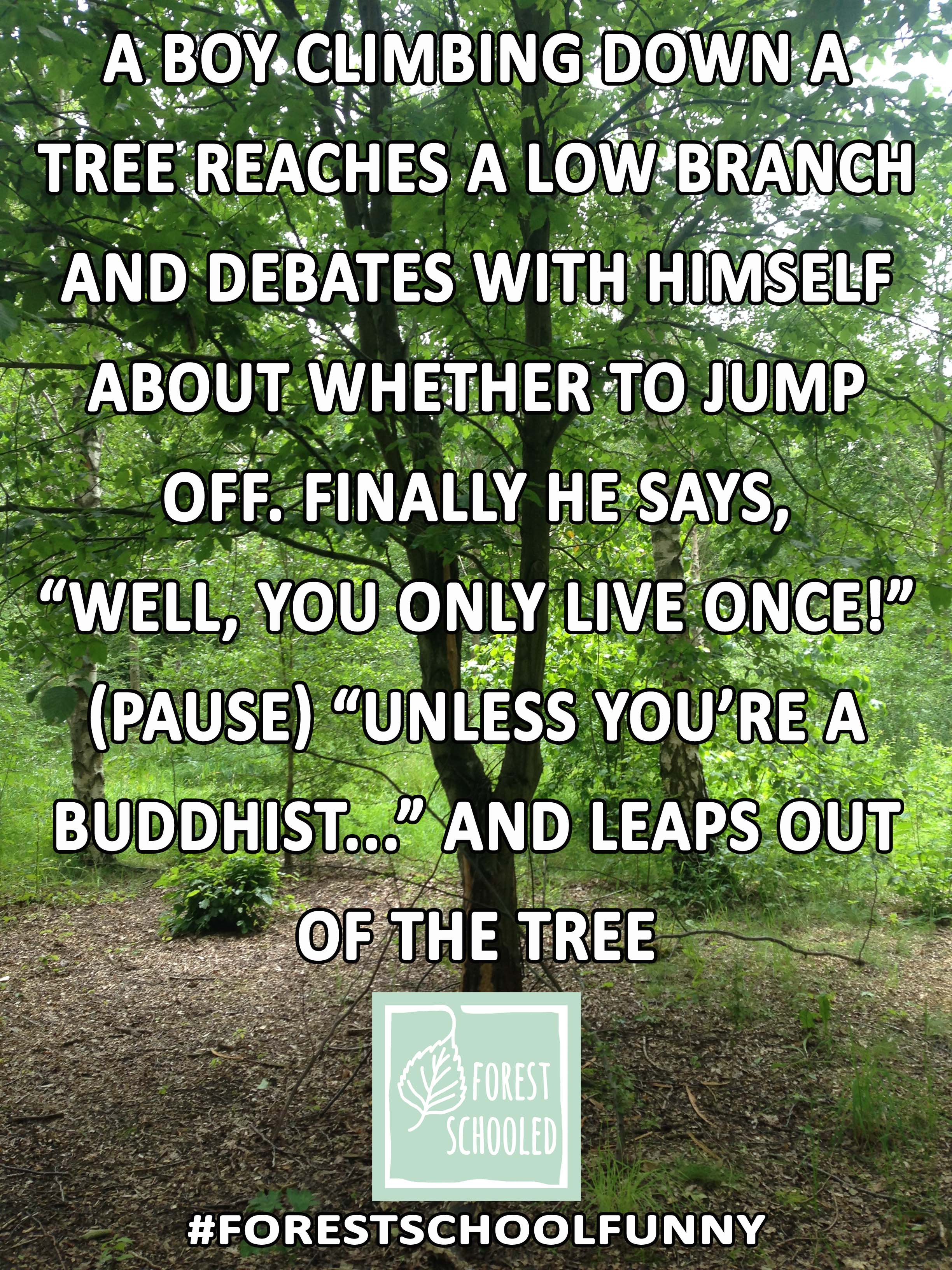 Forest Schooled | Forest School Funnies