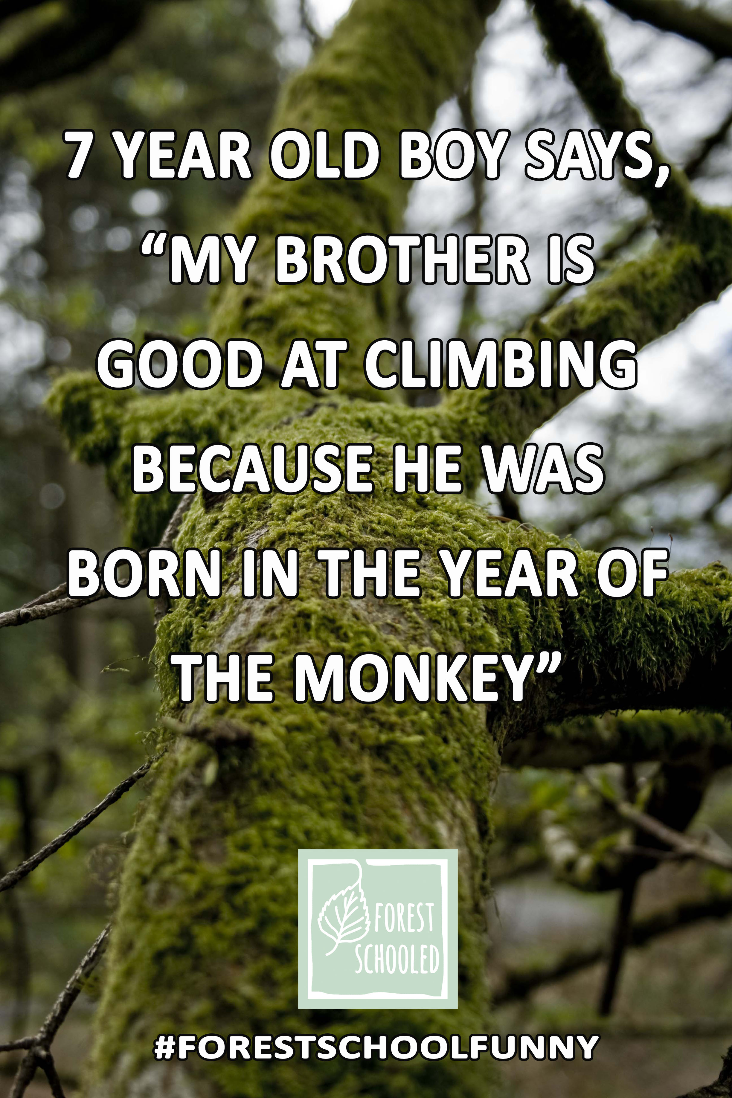Forest Schooled | Forest School Funnies