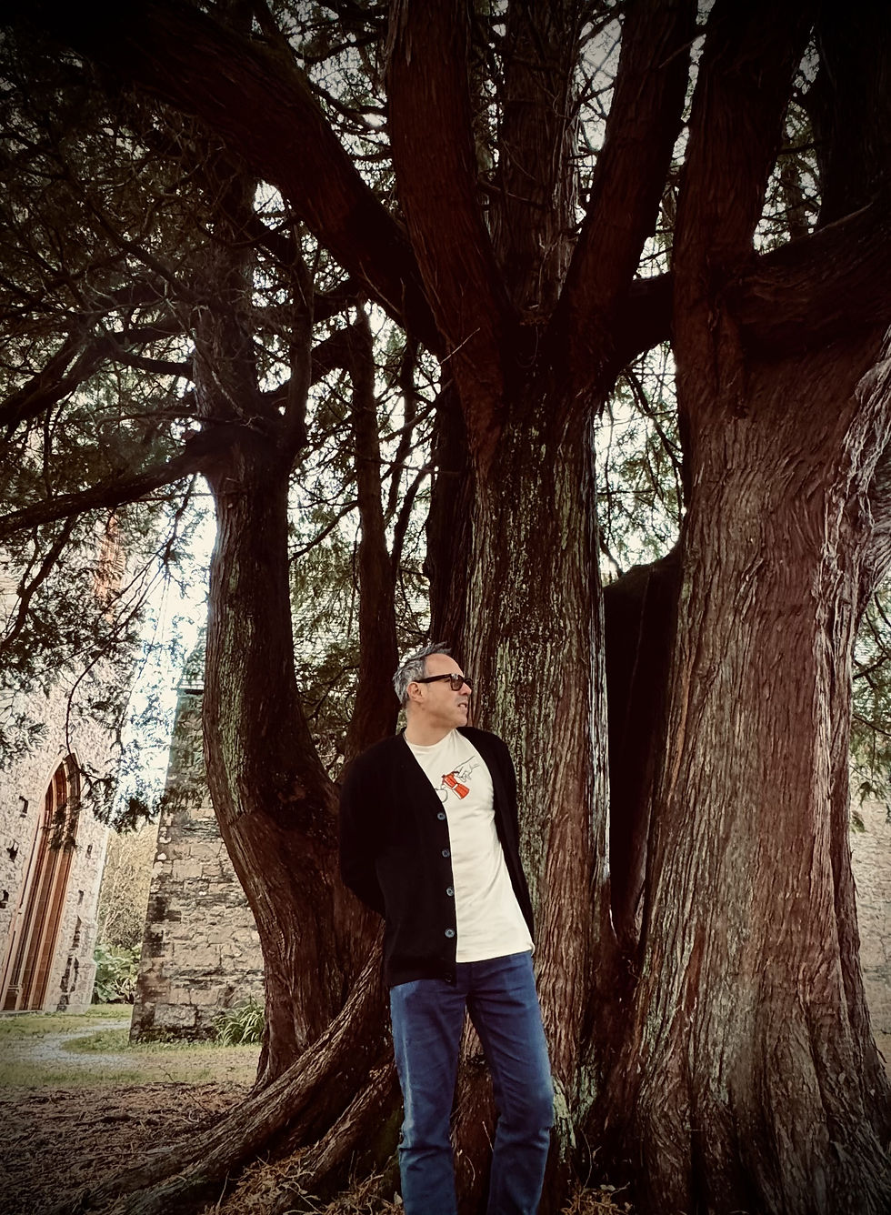 Sign The Form By ESTRADA Music Project Erupts With Thrilling Emotional ...