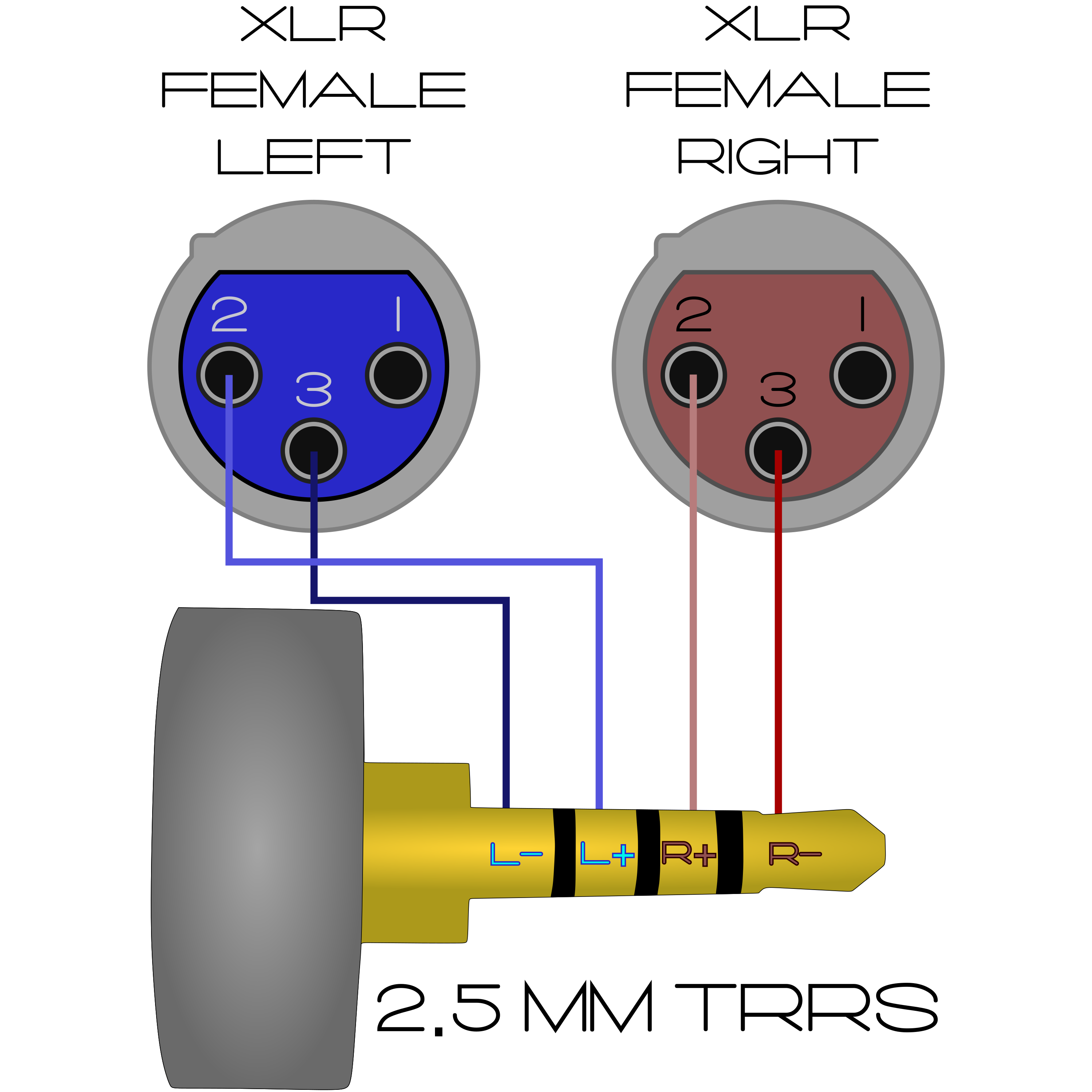 Dual XLR 3 Pin Female to 2.5 mm TRRS Balanced Breakout Cable