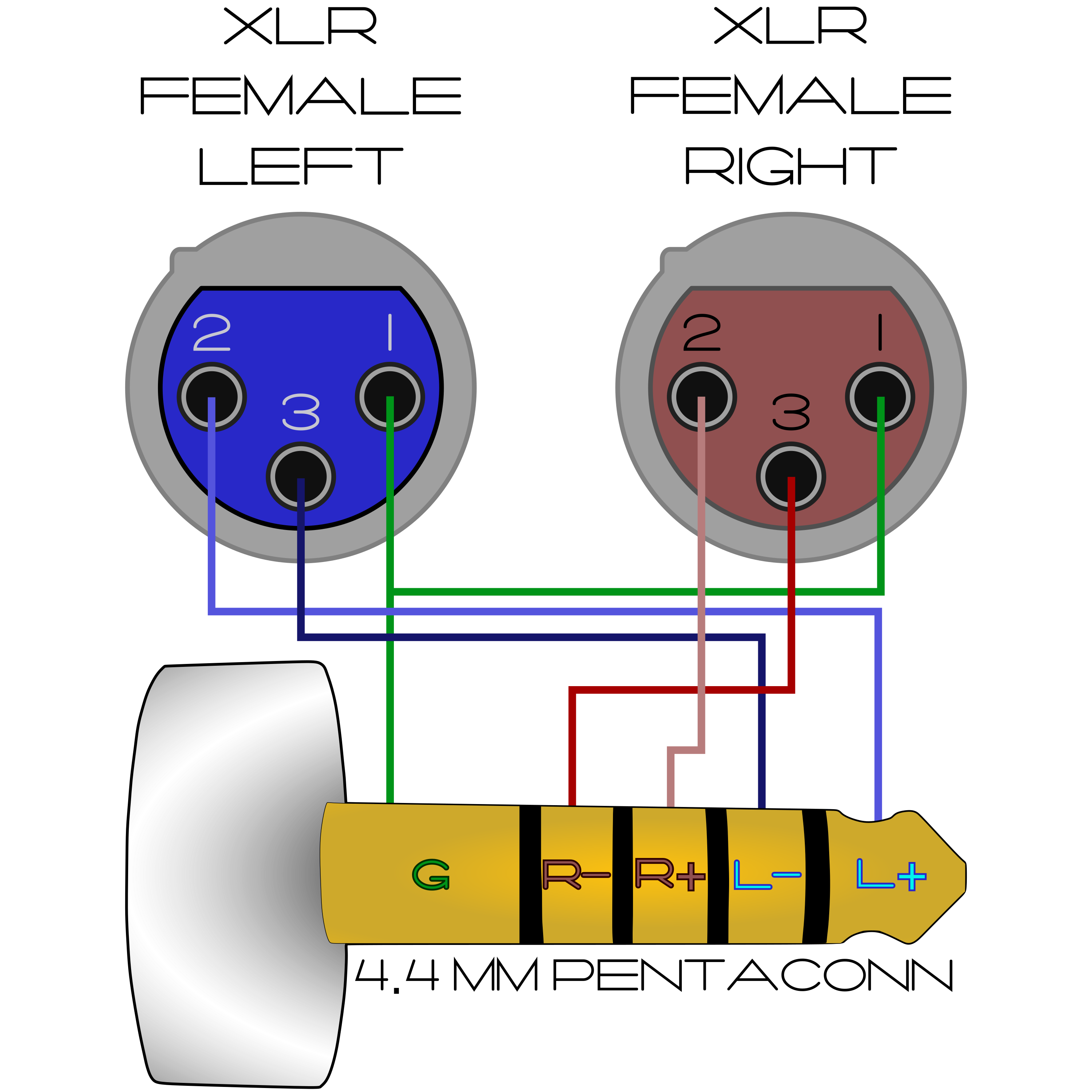 Dual XLR 3 Pin Female to 4.4 mm Pentaconn Balanced Breakout Cable