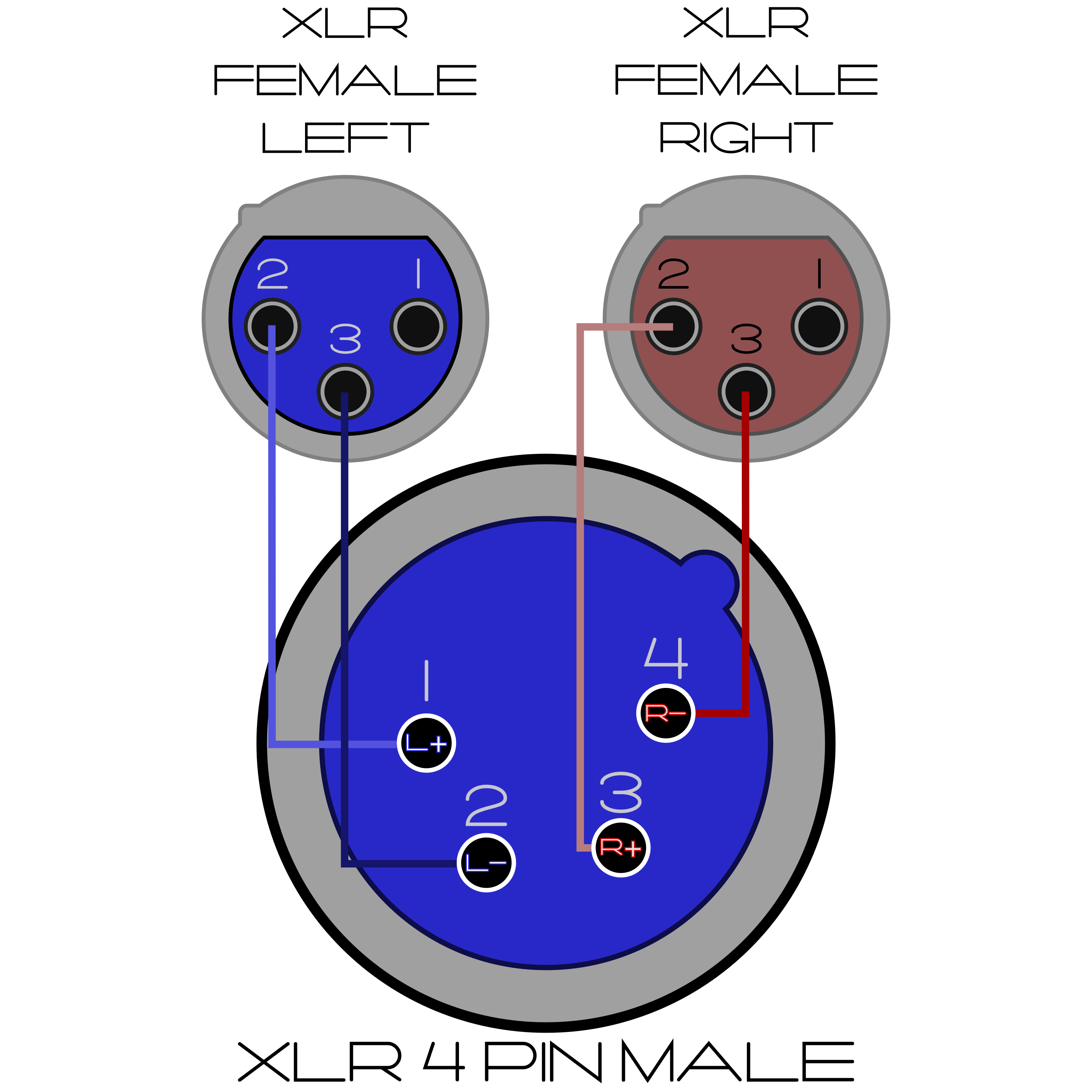 Dual XLR 3 Pin Female to XLR 4 Pin Male Balanced Stereo Adapter Cable ...