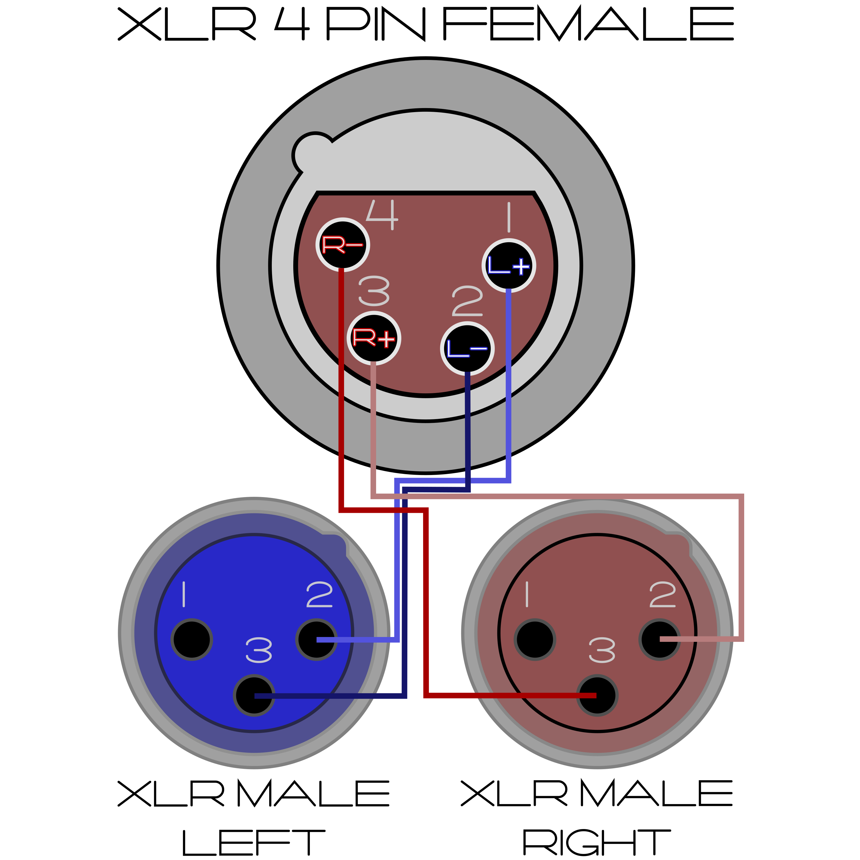 XLR 4 Pin Female to Dual XLR Male Balanced Stereo Breakout Adapter ...