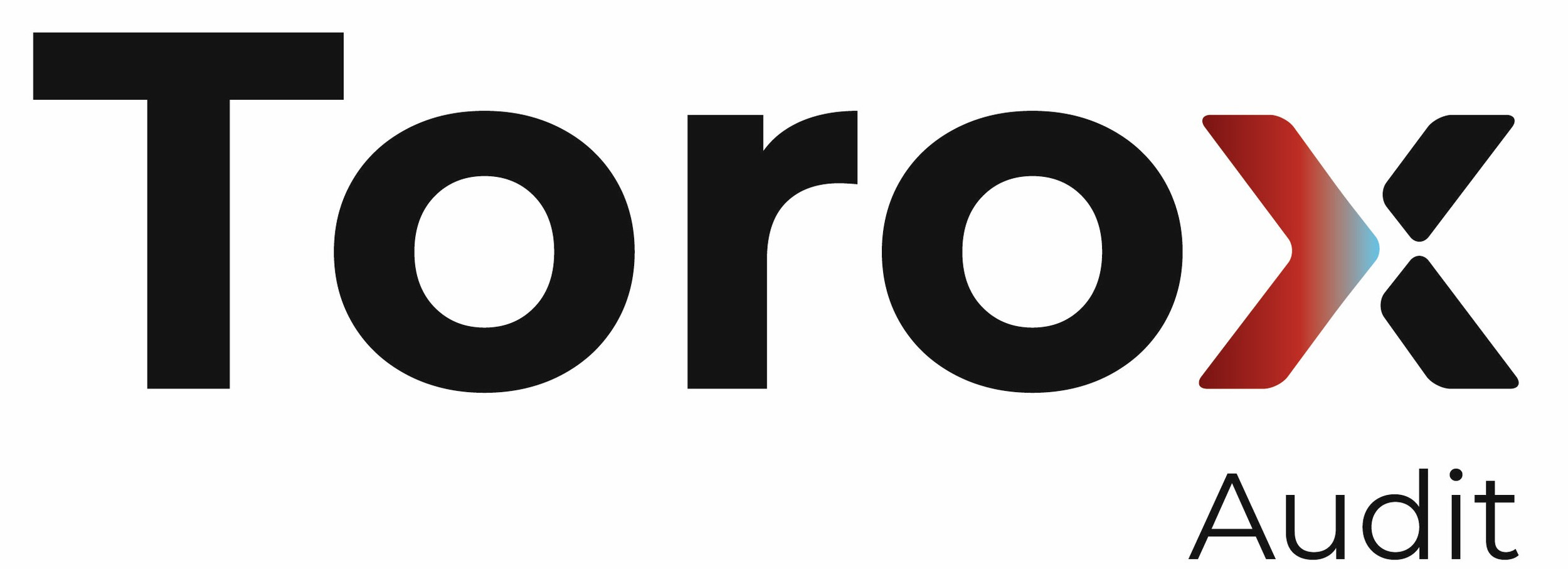Torox Audit | Audit only accountantskantoor