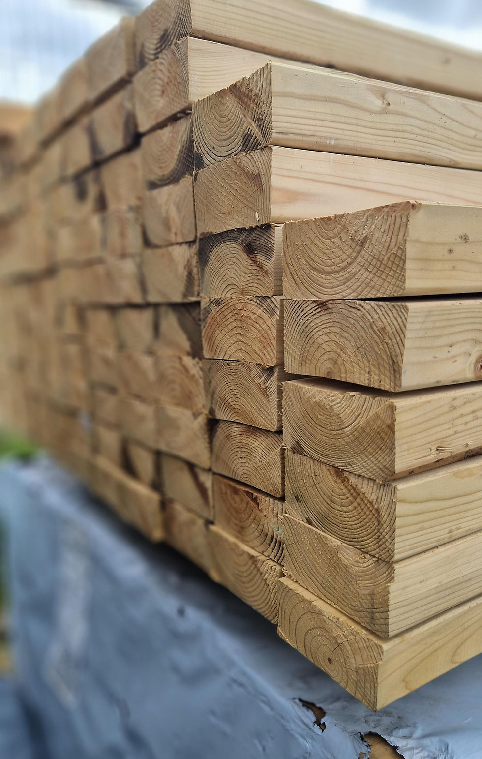 C24 Treated Timber | Millwood Timber Supp