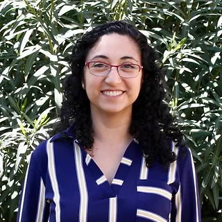 Núcleo Académico Básico | mydcn