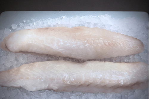 Monkfish | Gio’s Fish