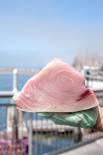 Swordfish for Sale Online | Giovanni’s Fish Market