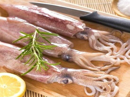 Buy Fresh Squid Online | Giovanni's Fish Market | Buy Squid Online