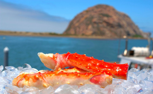 Buy Alaskan King Crab Merus Sections Online | Giovanni’s Fish Market