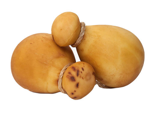 PROVOLA FUMEE 2 KG BIOPEK | Agridistribution