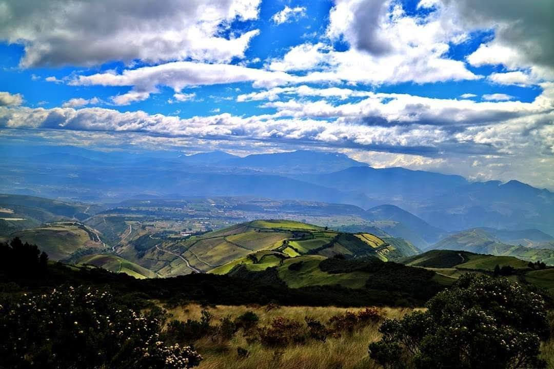 CONTACTOS | Malchingui