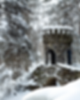 Historic Site | Williamsville Castle | United States