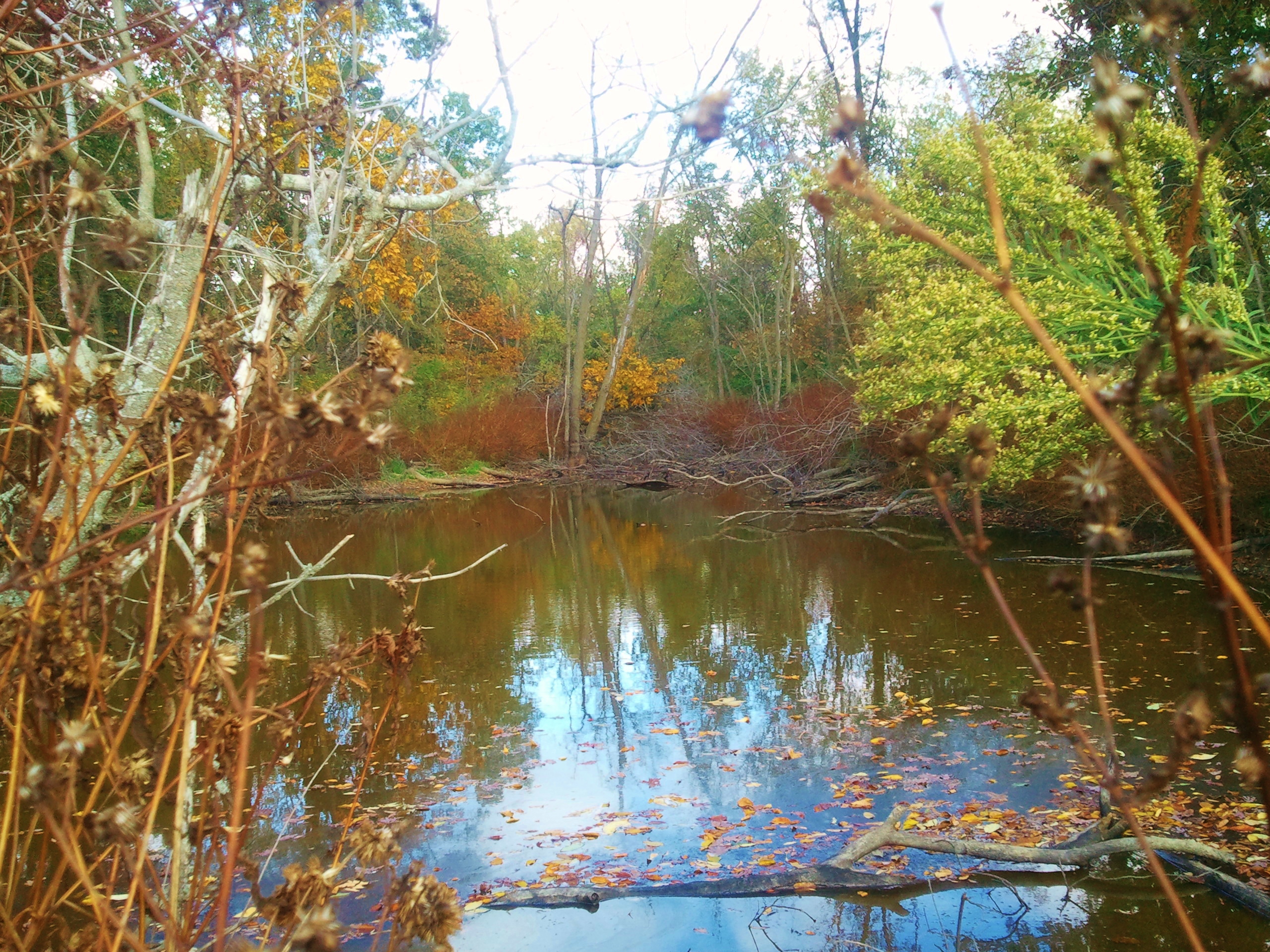 Flint River Trail