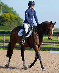 Lives after Racing | peter-niven-racing