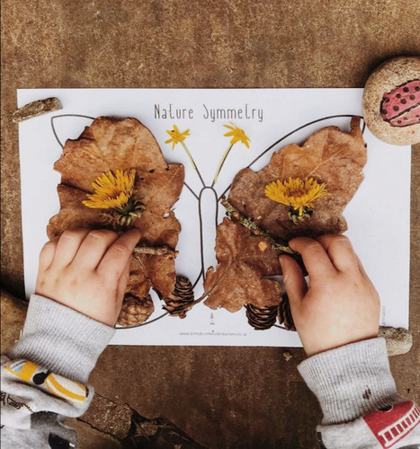 Nature Symmetry Butterfly Template | Kids In Nature