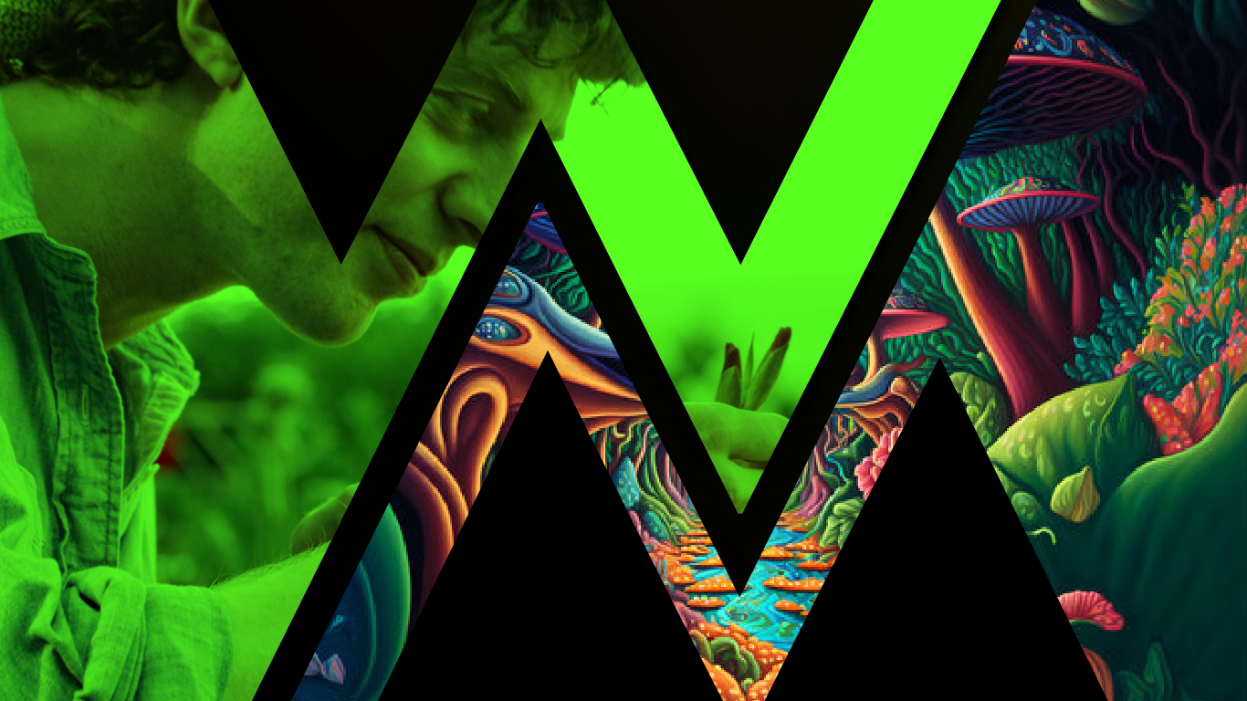 Merlin Sheldrake /// Mycological Metaphysics | Entheos