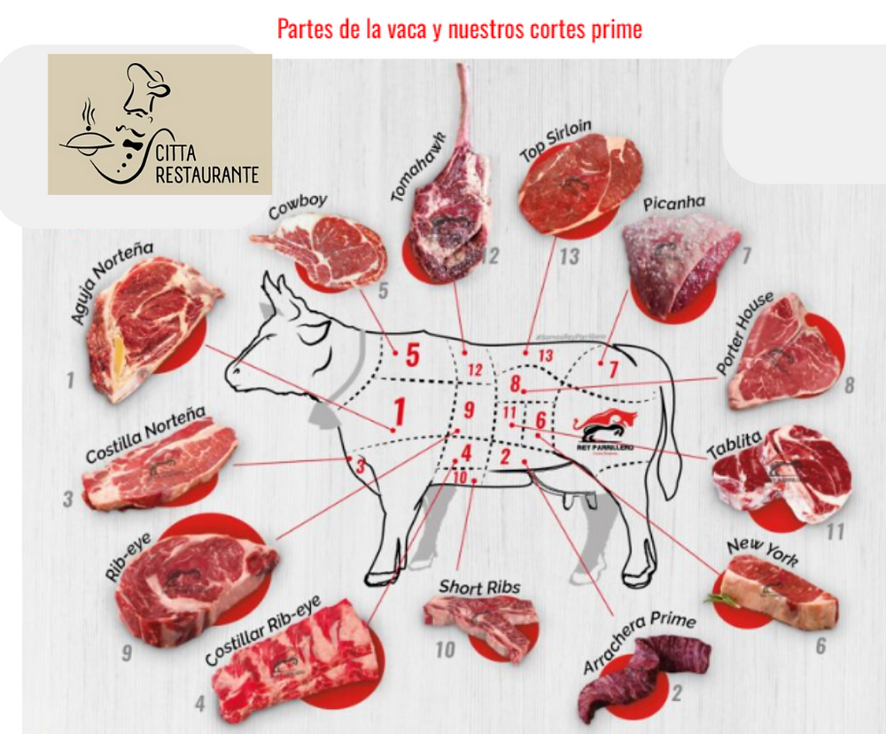 Partes de la vaca y de donde viene cada corte