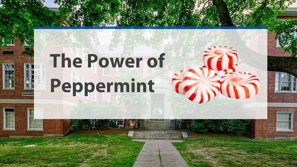 The Power of Peppermint