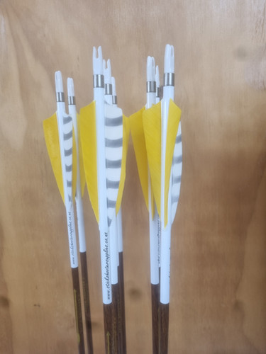 Carbonwood Protected Arrows | StickShooterSupplies