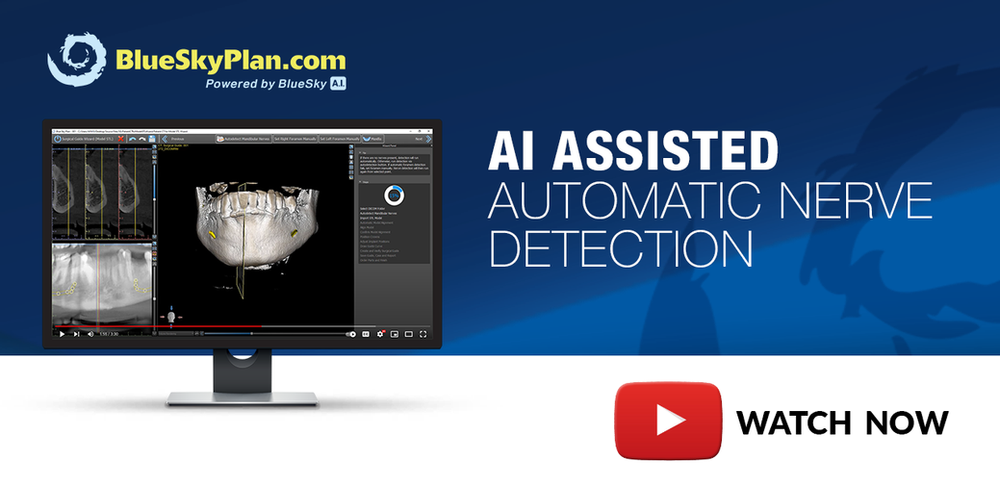 Fully Automatic Nerve Detection