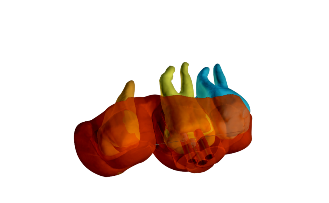 Endodontics Digital Design