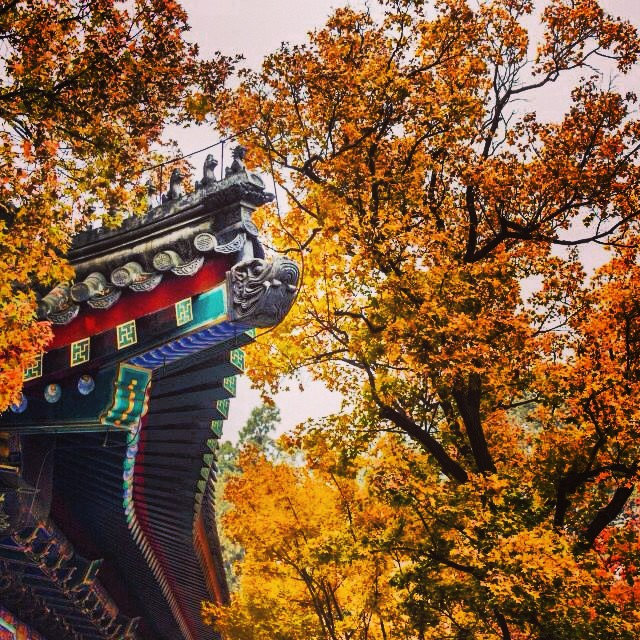 FRAGRANT HILLS PARK