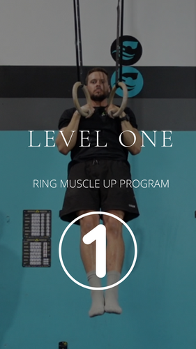 Level 1 Muscle Up Program | TSF Training