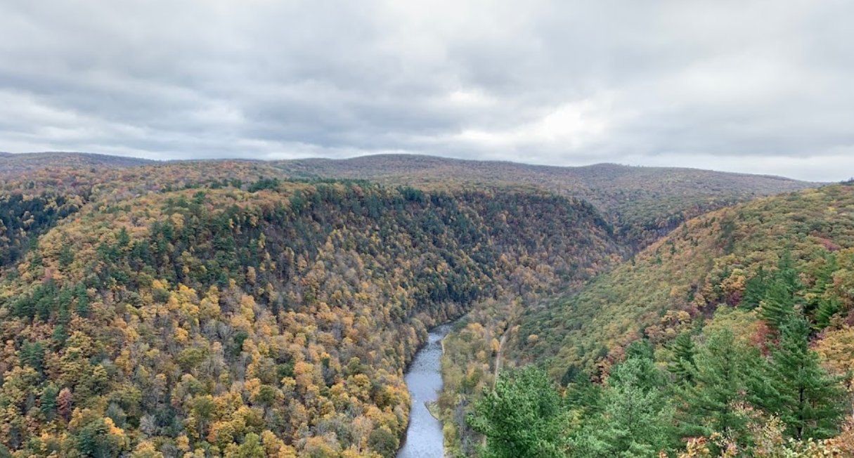 Pine Creek George, PA