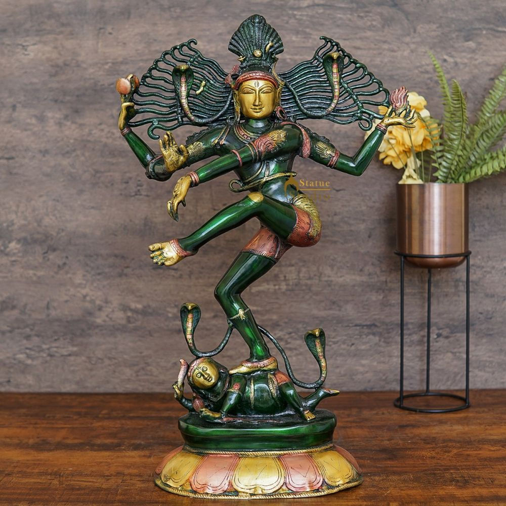 Stunning images of Nataraj and Their Depictions