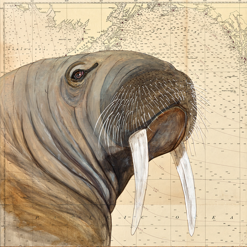 Walter the Walrus 1940's Chart Alaska | Jeff Lavinsky