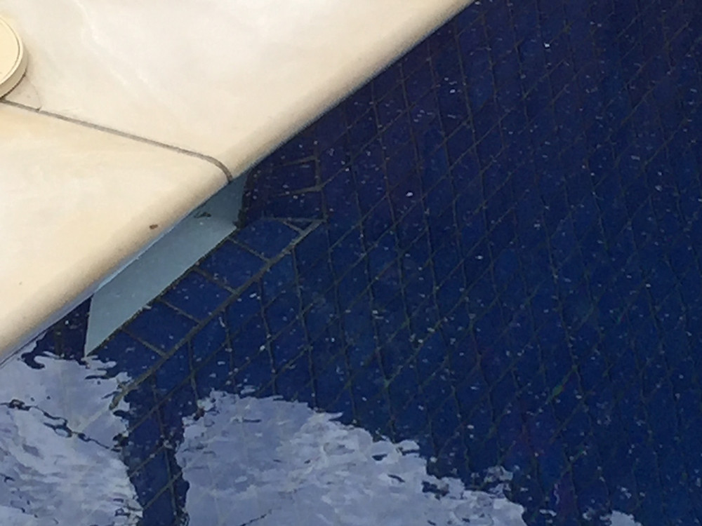 What is the correct water level for my swimming pool?