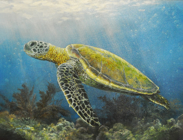 PAUL WREN | Bokeelia Art Gallery