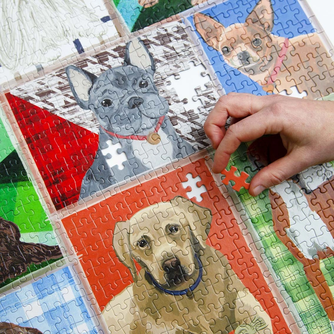 Dog Breeds Puzzle - 1000 Pieces | Happy Fairytail