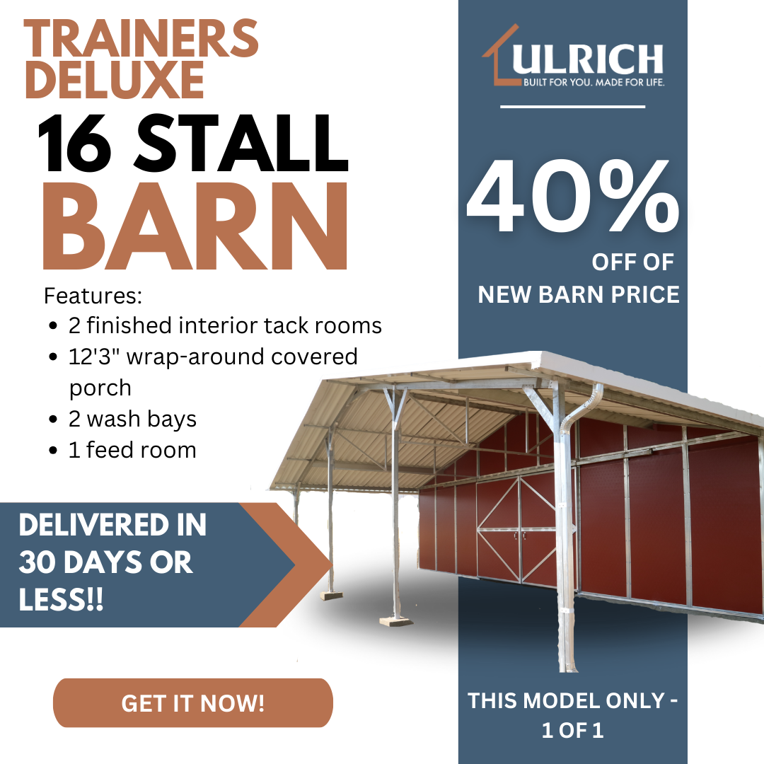 16 Stall Gable Barn