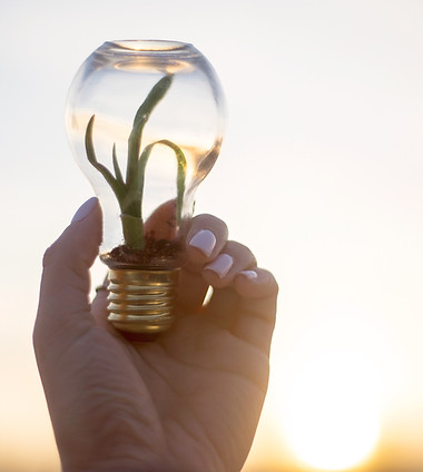 Services | Rapha Asset Management