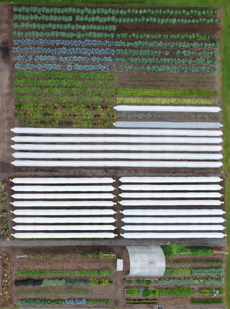 Lowcat Tunnel Farm Starter Kit | Motocultores PR, LLC